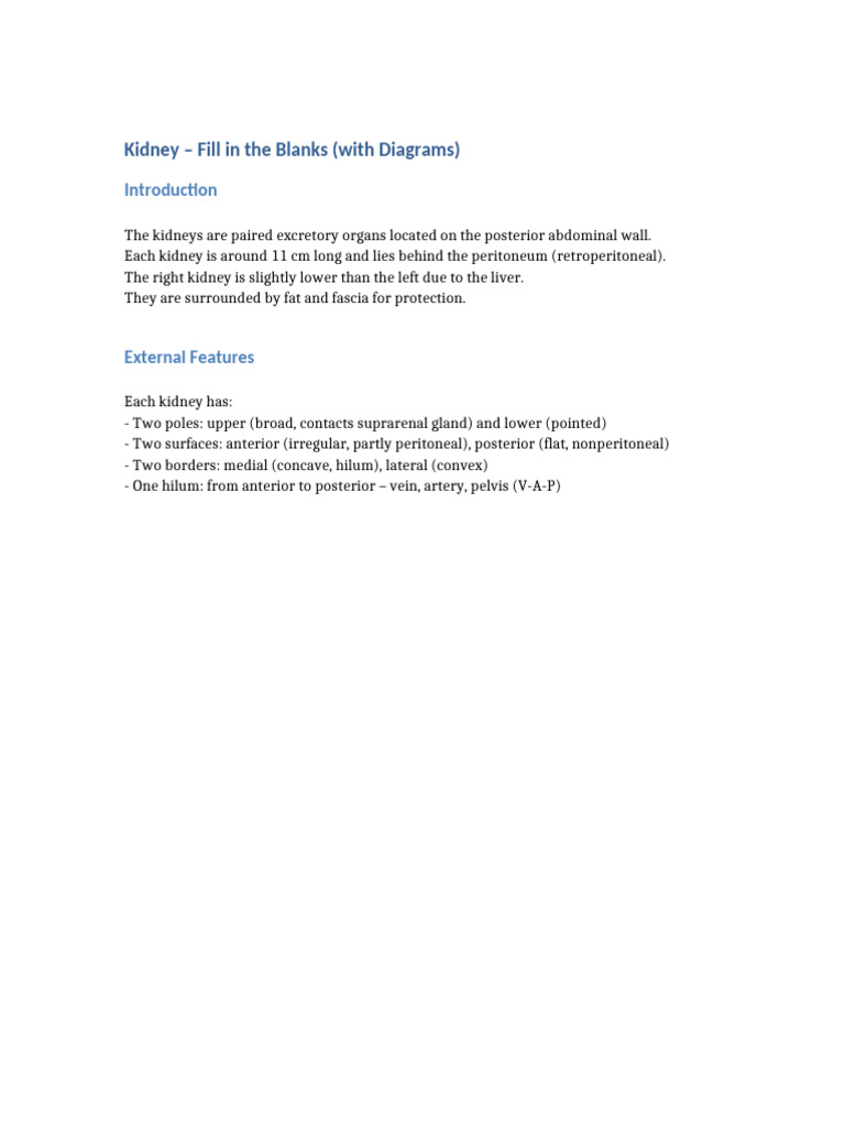 Kidney Fill in The Blanks Module | PDF