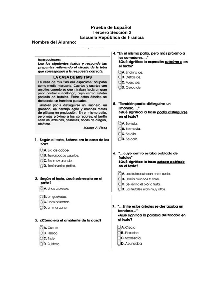 Prueba Español | PDF