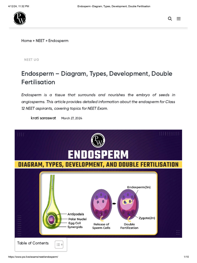 Endosperm - Diagram, Types, Development, Double Fertilisation | PDF | Seed | Fertilisation