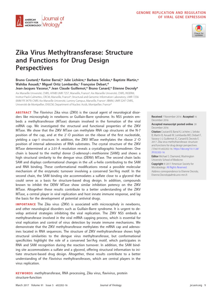 Zika Virus Methyltransferase Structure and Functions For Drug Design ...
