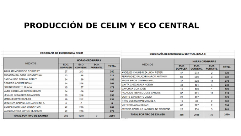 Prducción de Celim y Eco Central | PDF