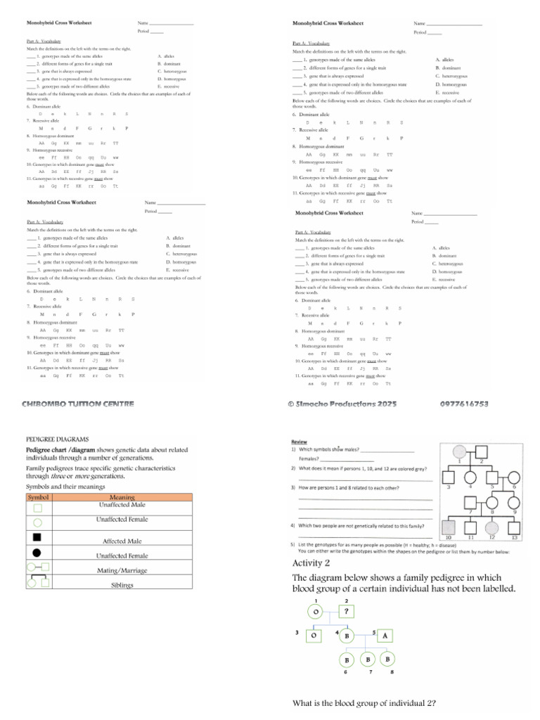 Genetics Worksheet | PDF