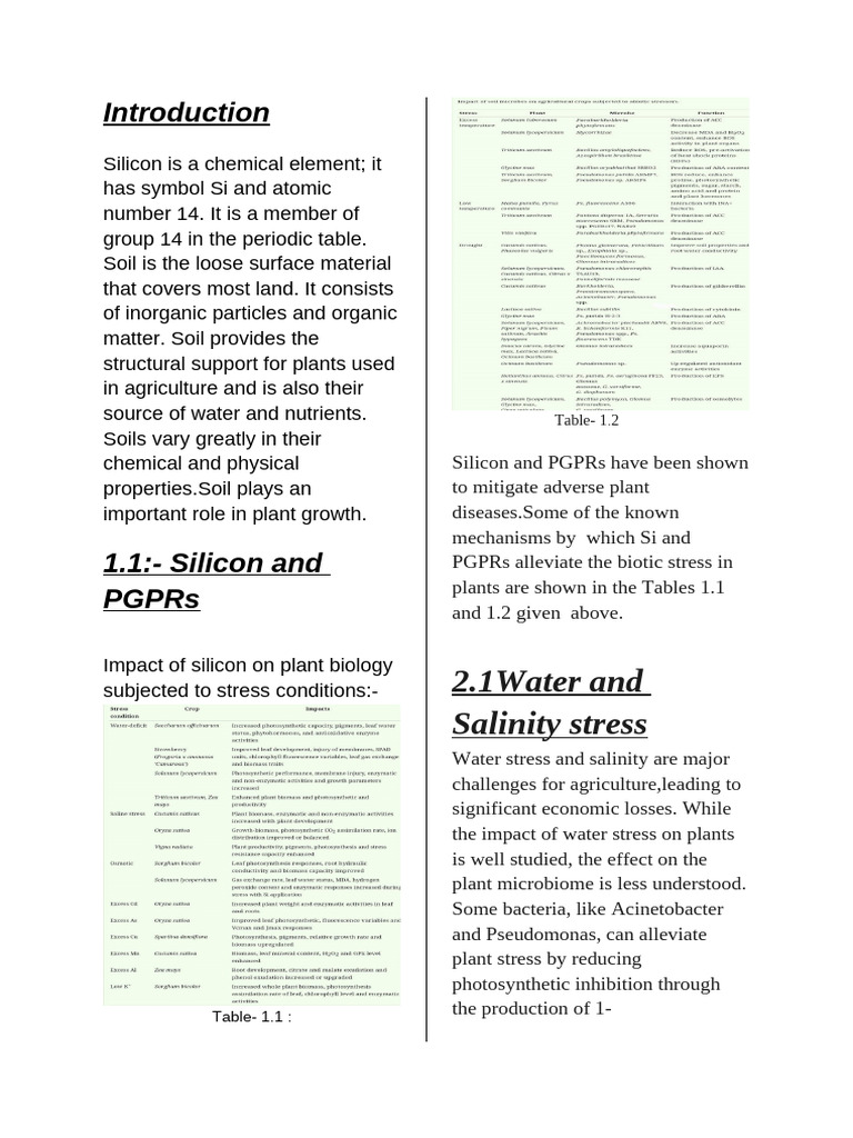 The Impact of Silcon | PDF | Soil | Silicon