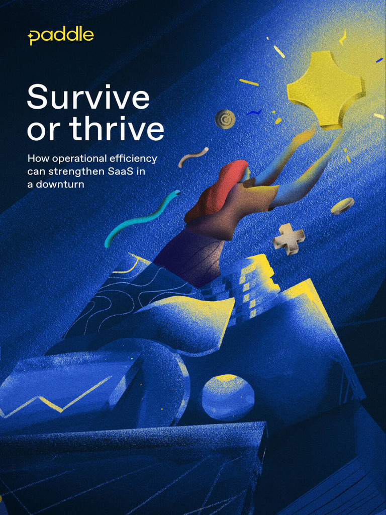Paddle SaaS SurviveOrThrive DIGITAL (01-19) | PDF | Cost Of Living ...