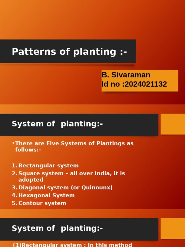 Patterns of Planting - For 111 | PDF