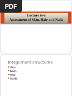 Nursing Skin Assessment Checklist | PDF