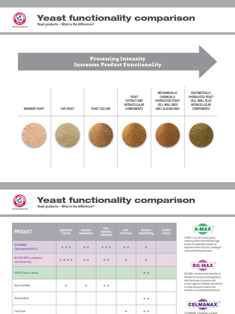 Yeast Functionality Chart - 101521 - Web | PDF | Yeast | Carbohydrates