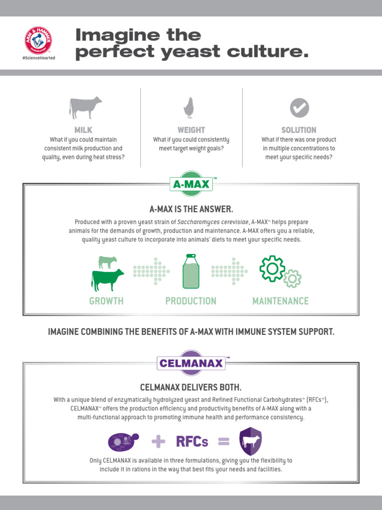 AMAX-CELMANAX - Dairy - SS - 021220 - Web | PDF | Yeast | Biology