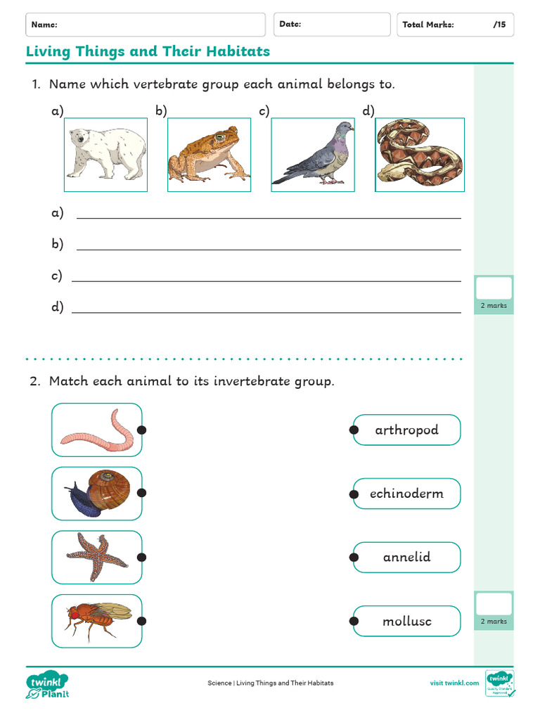 Assessment Test Living Things and Their Habitats | PDF | Invertebrate ...