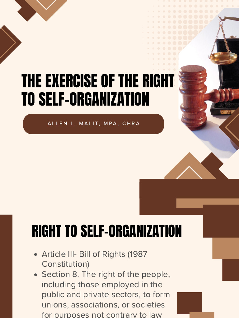 Understanding the Right to Self-Organization | PDF | Elections ...