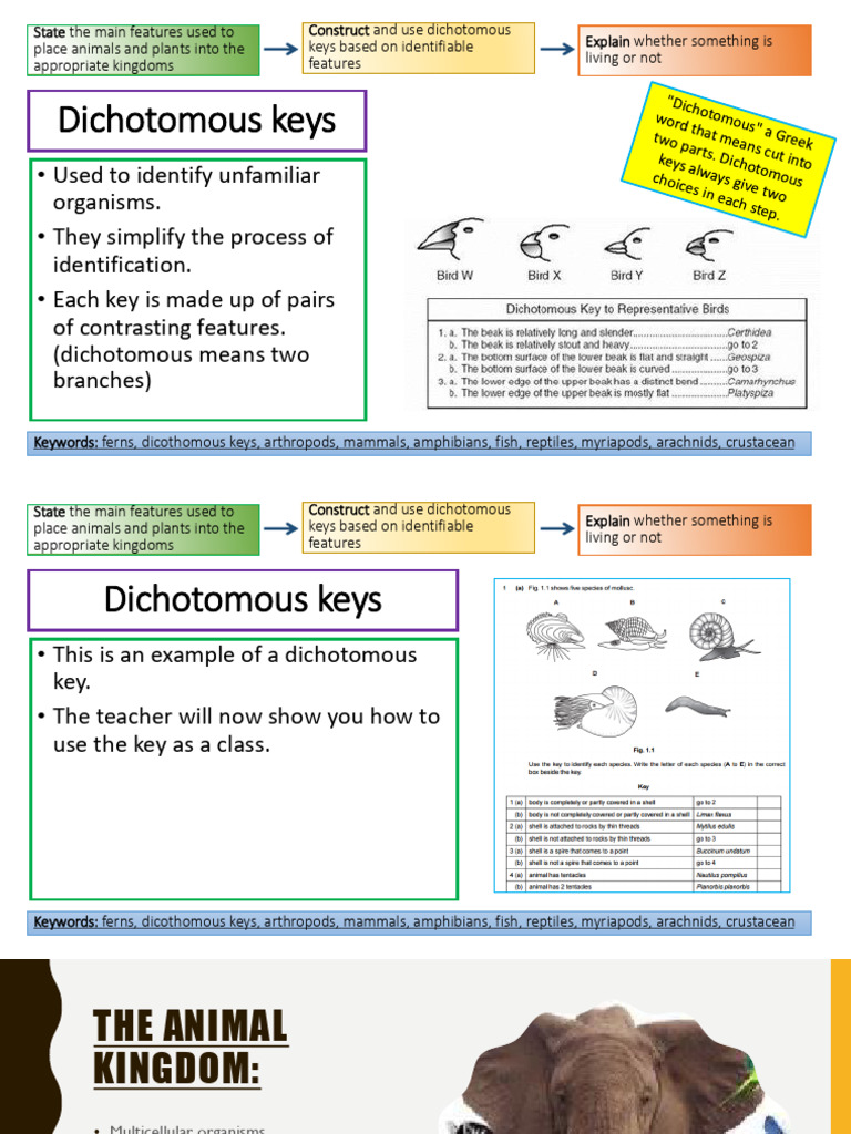 L3 - Dichotomous Keys, Animal Kingdom and Questions | PDF | Virus ...