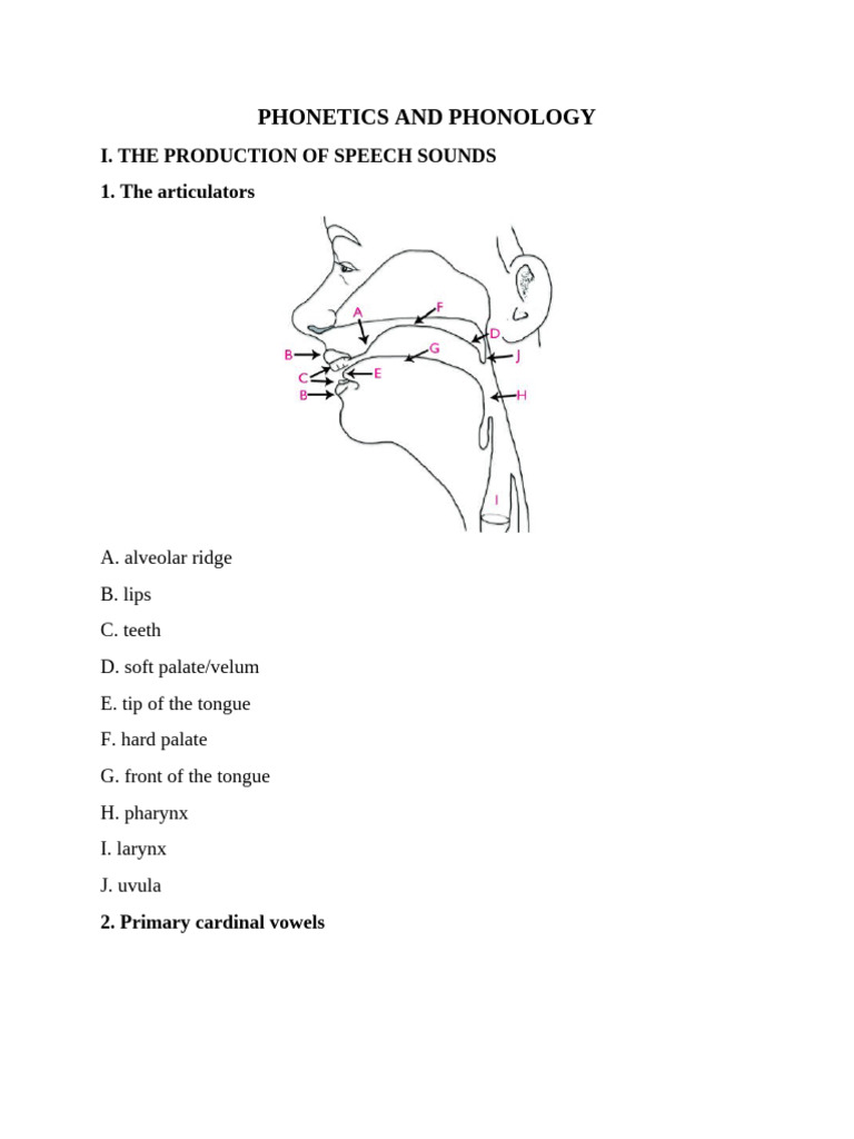 Phonetics and Phonology | PDF | Syllable | Consonant