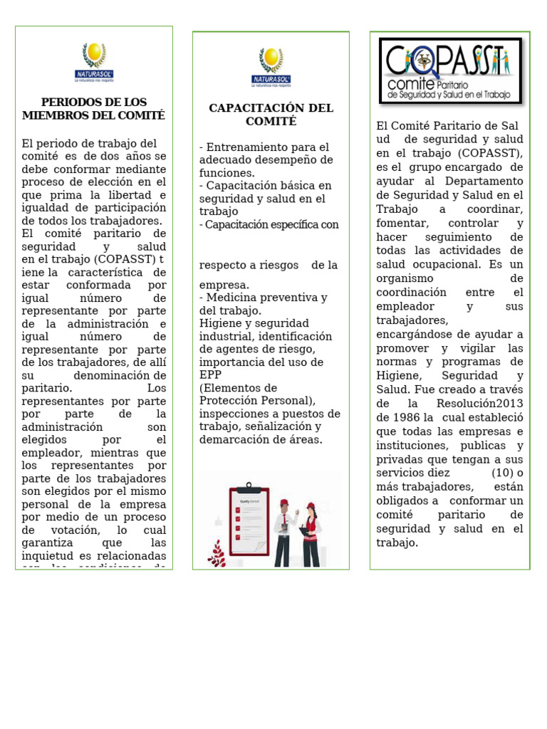 Periodos y Funciones del COPASST | PDF