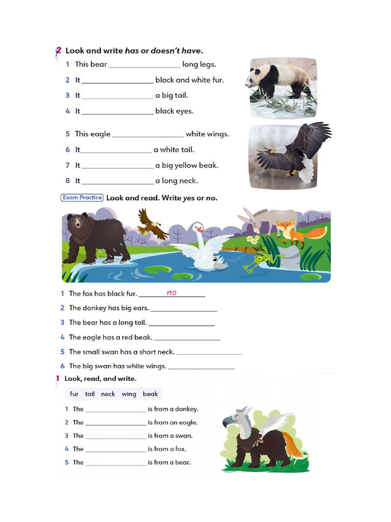 Unit 3 Exam Homework | PDF