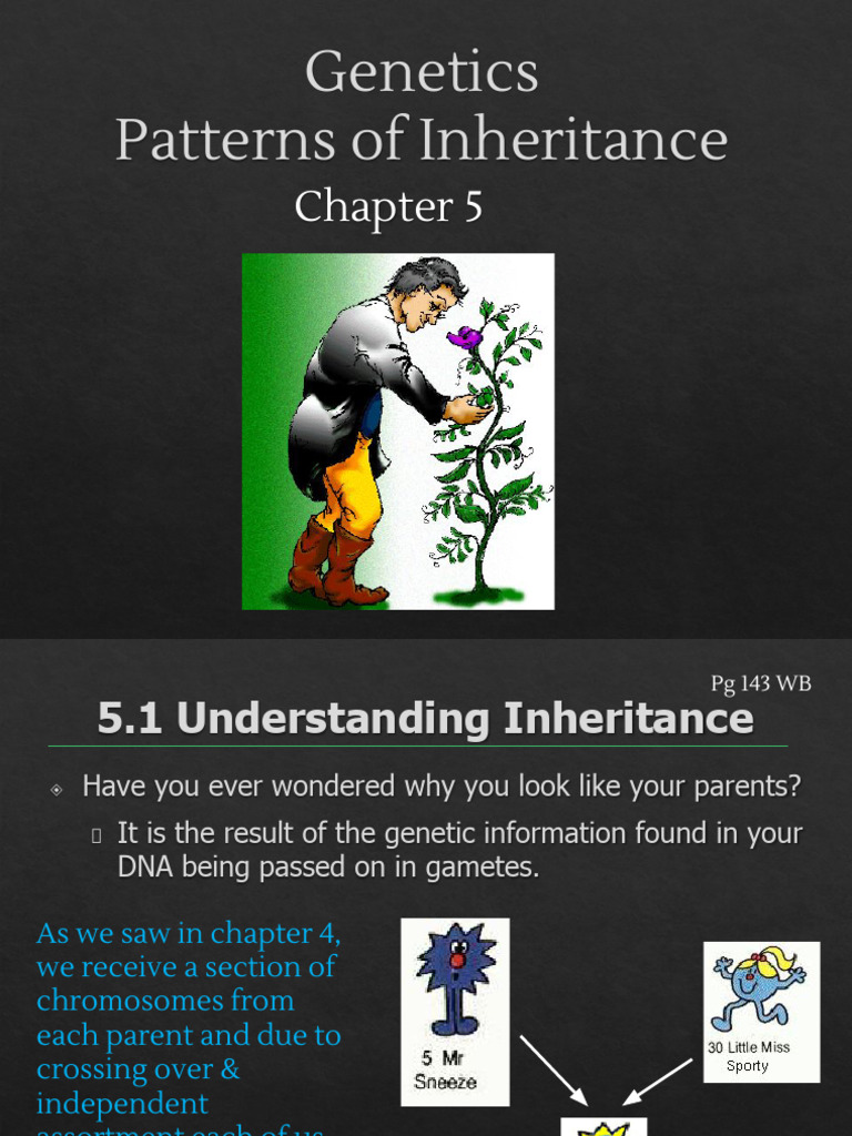 Chapter 5 Patterns of Inheritance 2019 | PDF | Dominance (Genetics) | Genotype