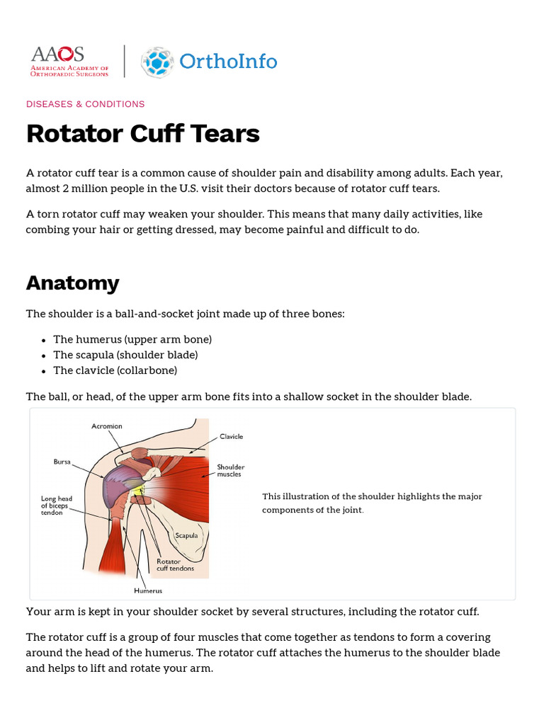 Rotator Cuff Tears - OrthoInfo - AAOS | PDF | Shoulder | Surgery