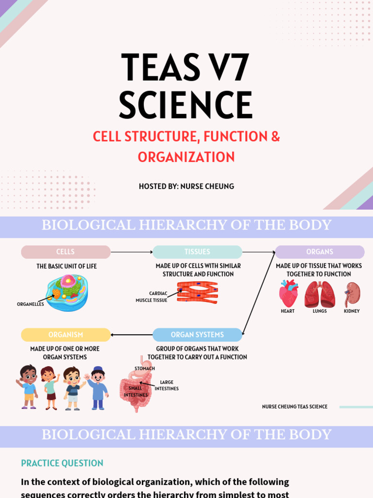 TEAS V7 Science: Cell Structure & Division | PDF | Meiosis ...