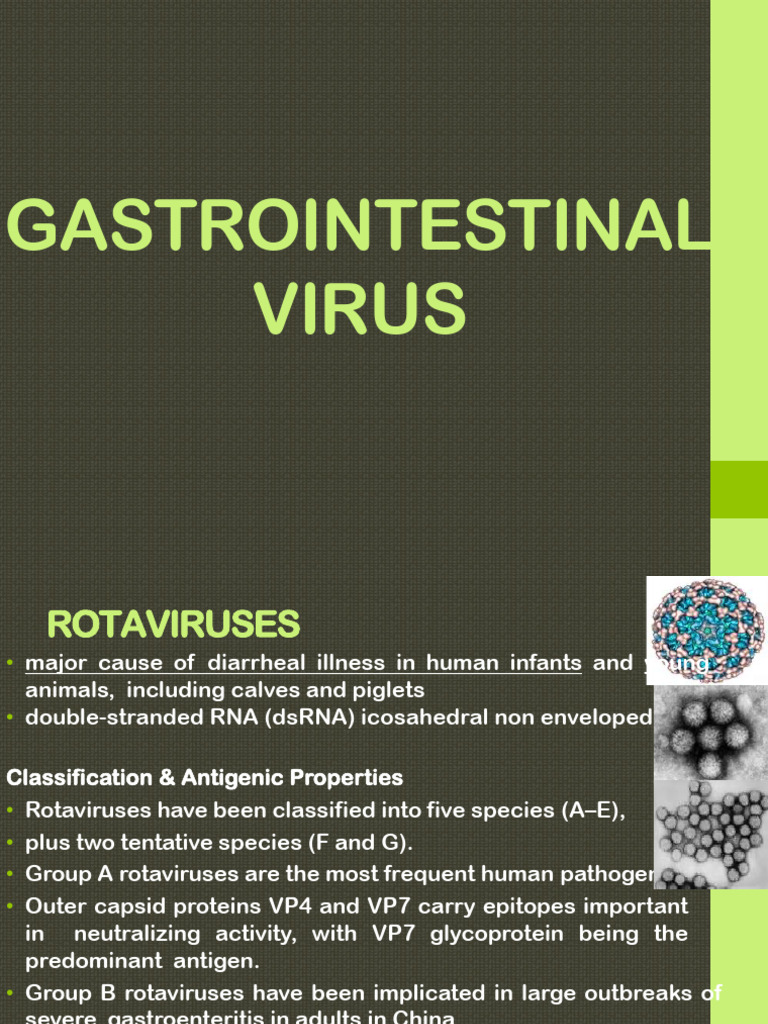 Gastrointestinal Viruses | PDF | Virus | Immunology