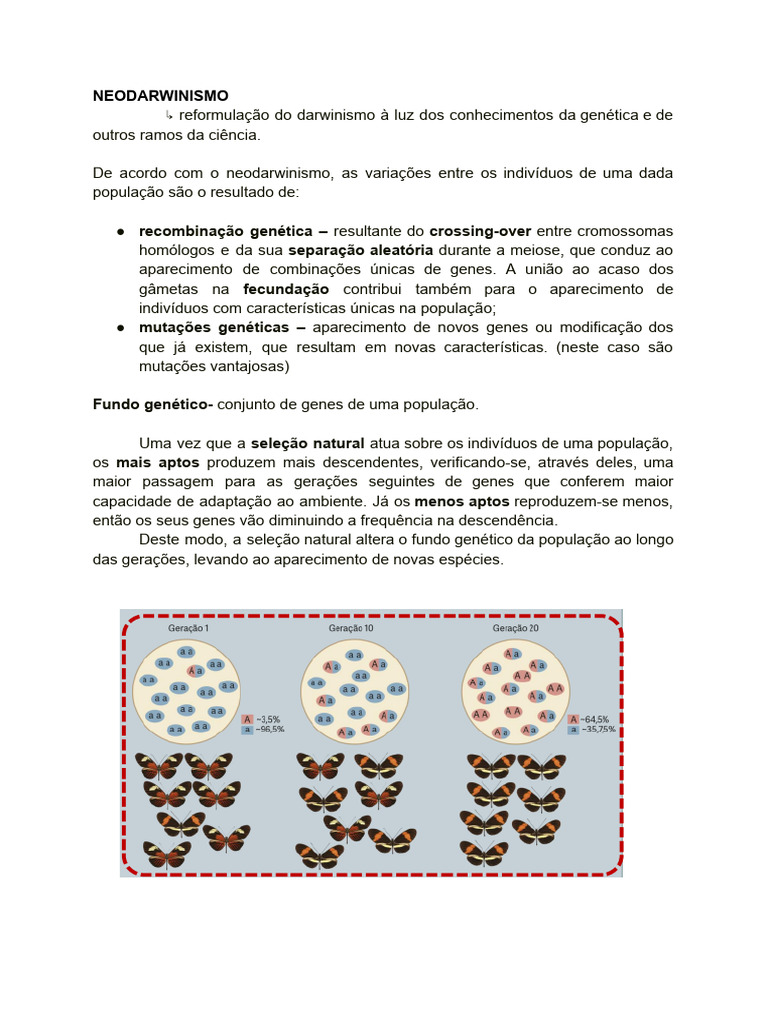 Biologia 11ºano Final | PDF | Célula (Biologia) | Mitocôndria