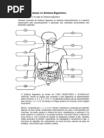Bula do Vatis 150mg (Propafenona) | PDF | Eletrocardiografia | Gravidez