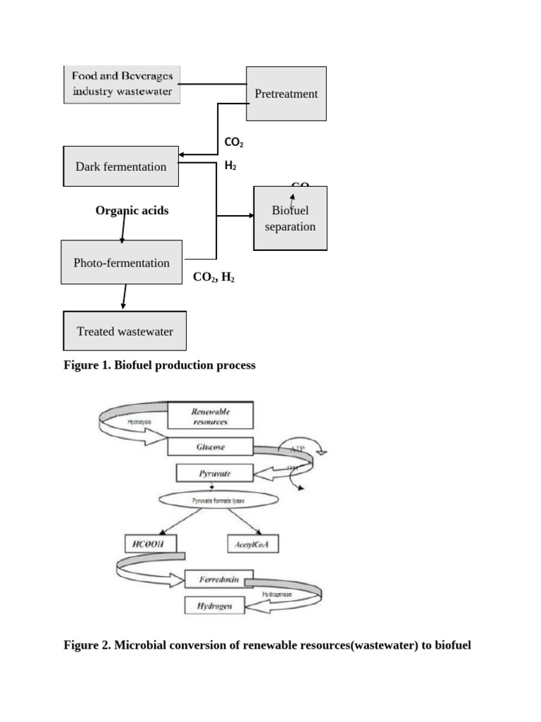 biofuel production process | PDF