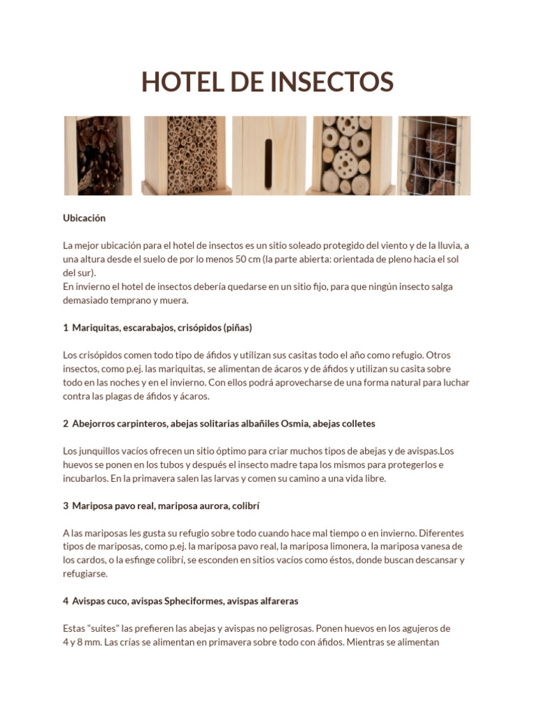 _HOTEL DE INSECTOS_ | PDF
