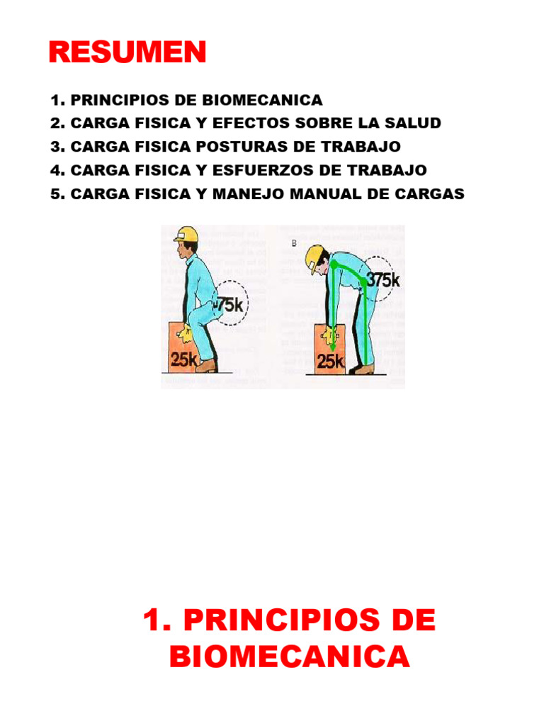 03 Biomec Aplicada | PDF | La columna vertebral | Dolor lumbar