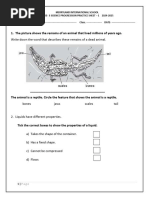 Year 2 Science DLP Quiz | PDF | Egg | Science