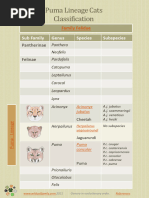 Wild Cat Family List by Lineage - Family | PDF | Felidae | Panthera