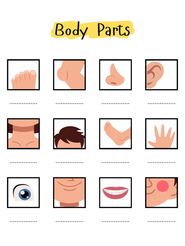 Body Parts Vocabulary Match | PDF