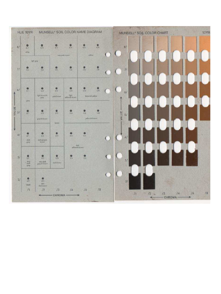 Tabla Munsell Hojas Principales | PDF