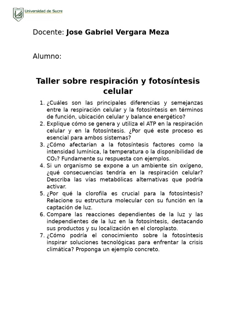 Taller Respiracion Celular y Fotosintesis | PDF