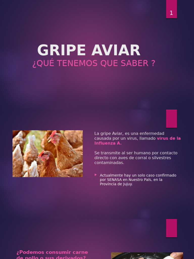 GRIPE-AVIAR, y Mas | PDF
