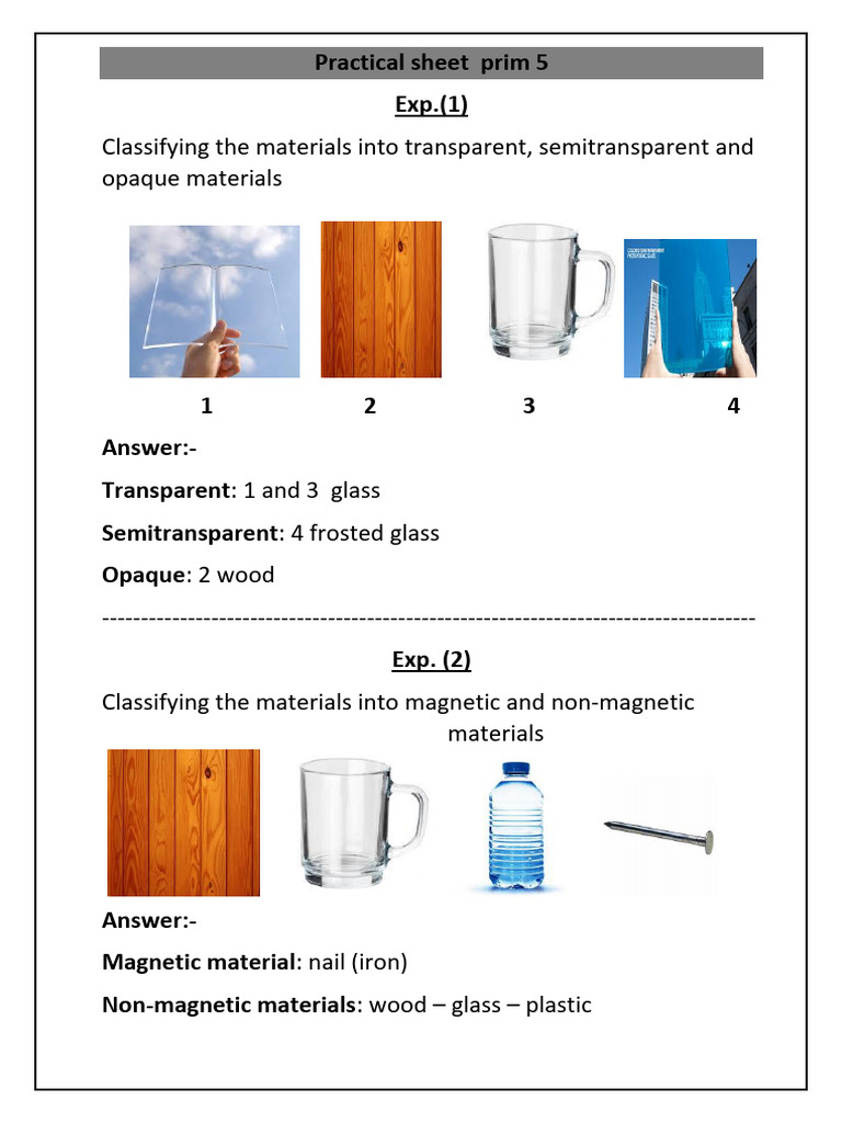 Practical Sheet Prim 5 | PDF