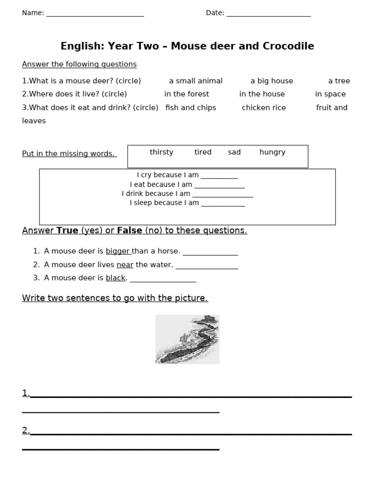 Year 2 Comprehension Worksheet | PDF