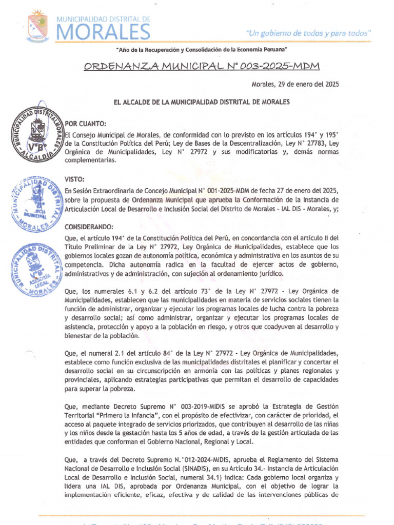 Ordenanza Municipal #003 Ialdis 2025 | PDF