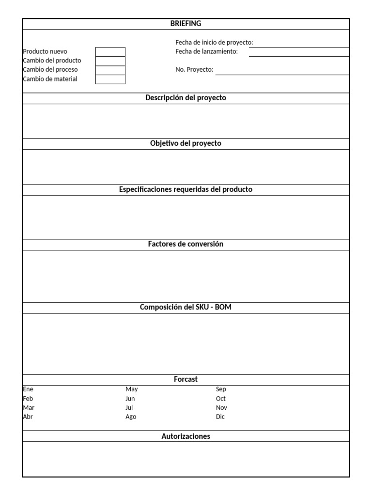 Formato Briefing | PDF