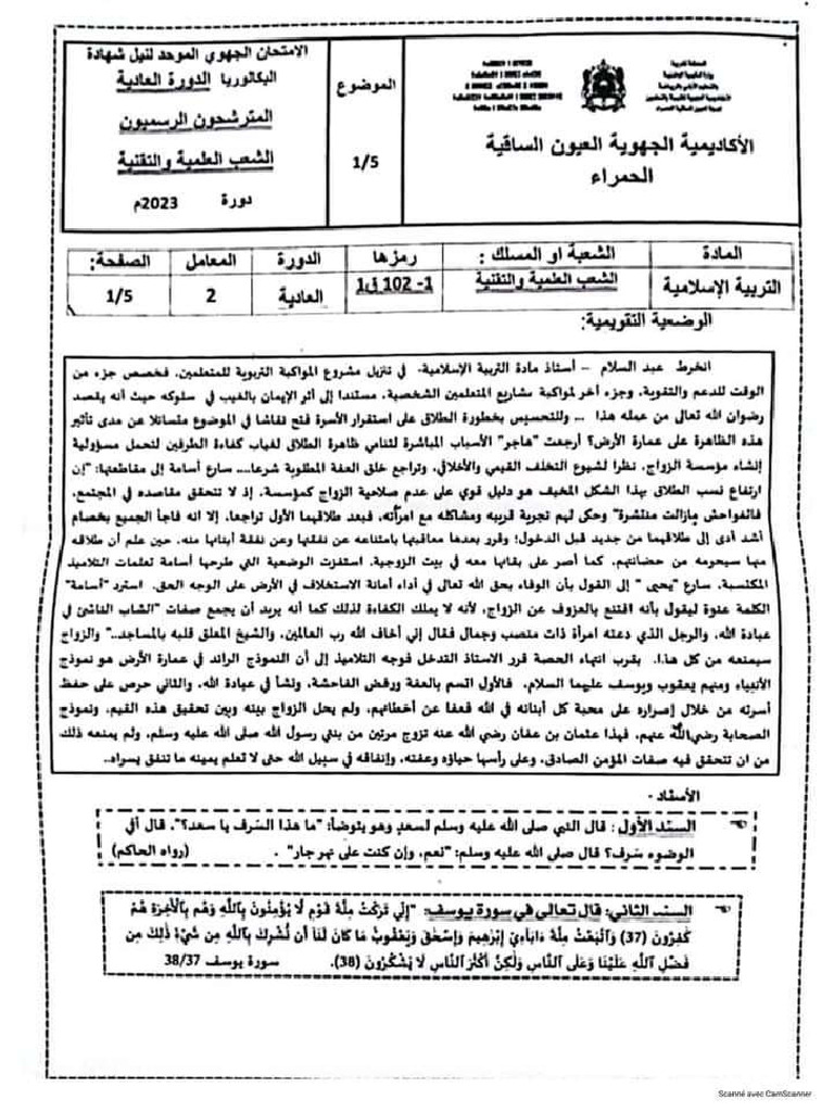Layoun Isla 1 | PDF