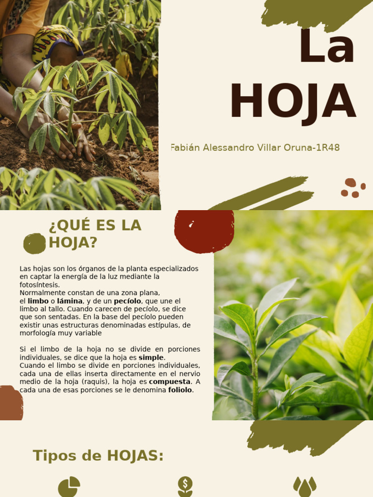 La Hoja: Fabián Alessandro Villar Oruna-1R48 | PDF