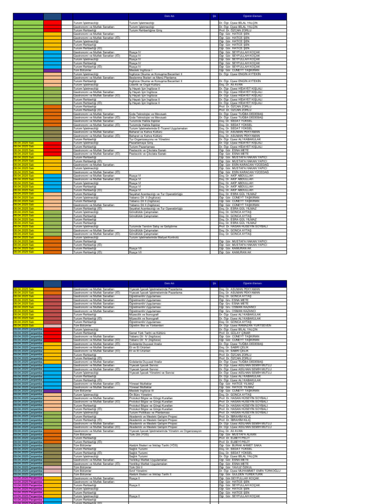 2024 2025 Bahar Vize Programi | PDF