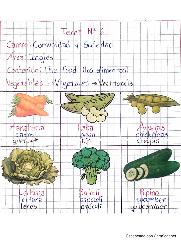 Tema 2 Inglés | PDF