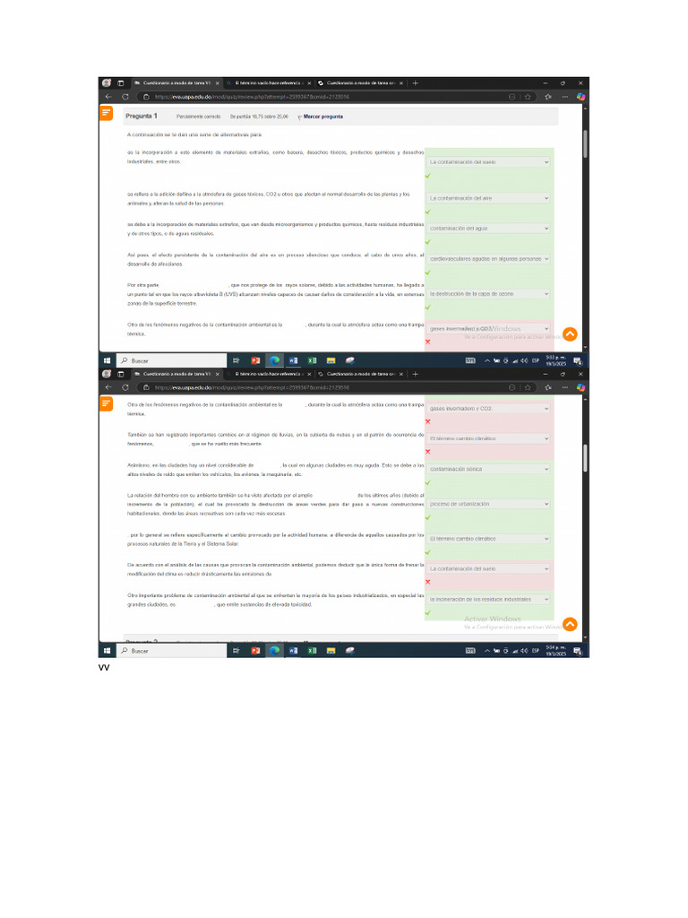 Cuetionario, XM | PDF