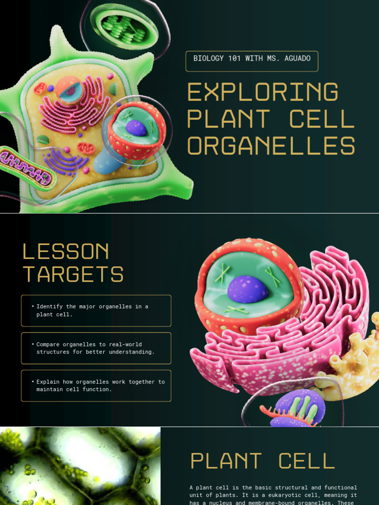 Plant Cell Organelles NGSS Educational Presentation in Black and Yellow ...