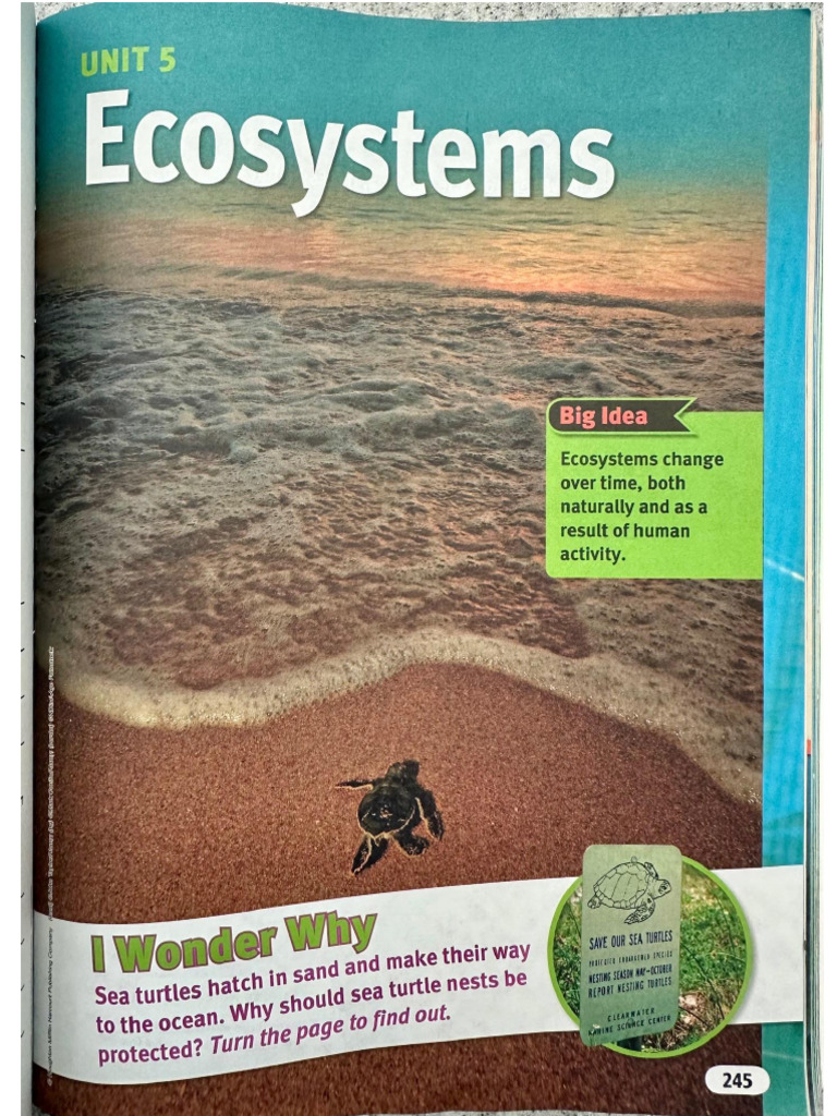 Ecosystems Packet | PDF