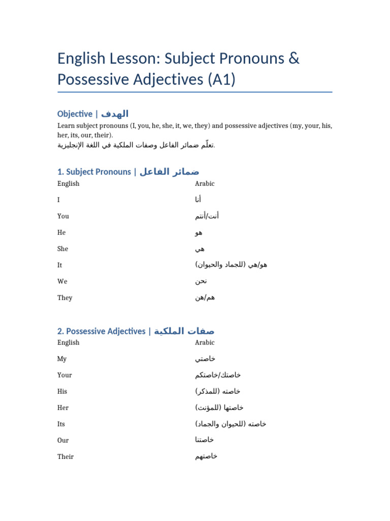 Subject Pronouns Possessive Adjectives Lesson | PDF