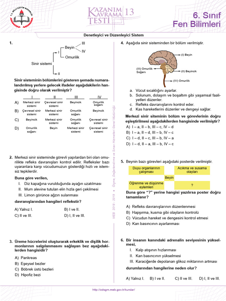 6. Siniflar icin Fen bilgisi sinav ornegi | PDF