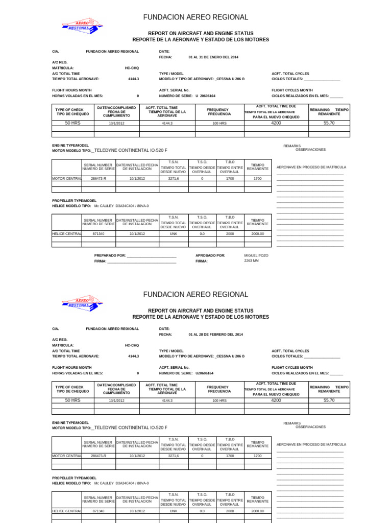 Formato Reporte Mensual | PDF