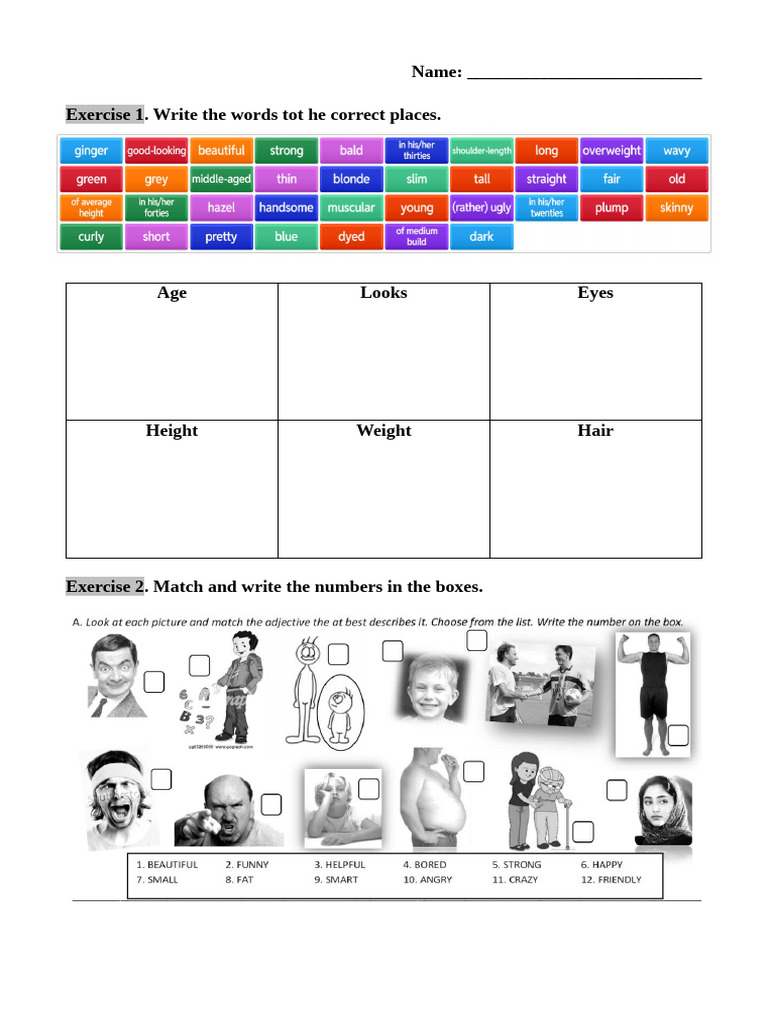 Appearance Worksheet | PDF