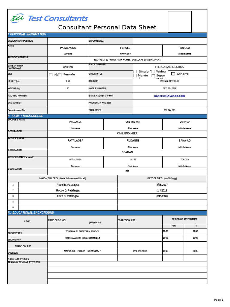 FORM 201 Template - Consultant | PDF