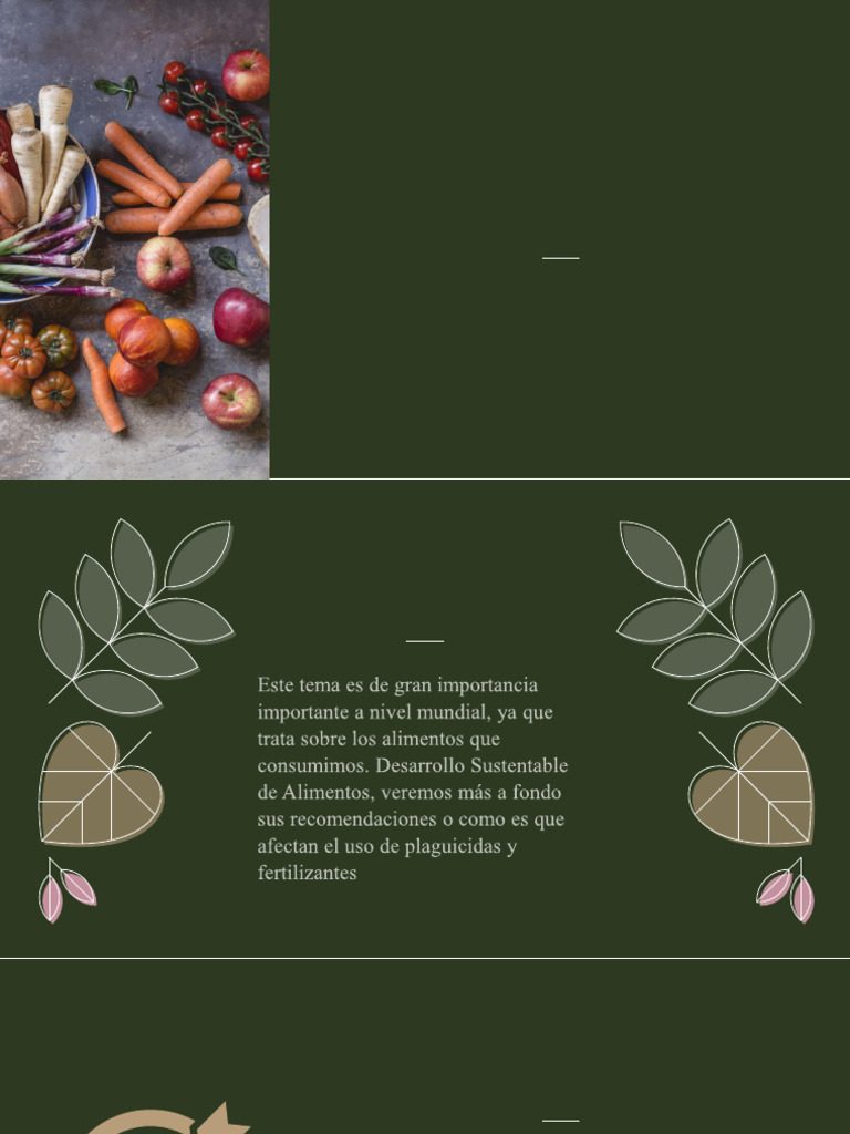 EV2 Investigación 1ra Mitad | PDF